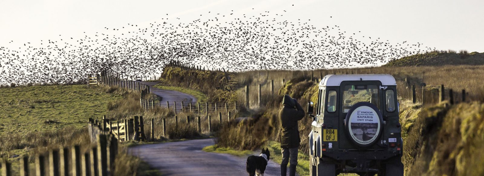 Exmoor Info | Exmoor Wildlife, History, Towns and More | Exmoor ...